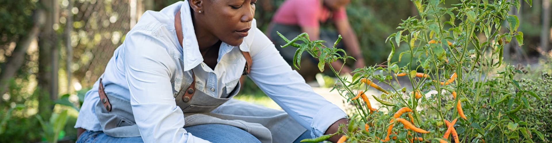 Earth Day 2023: Small but powerful ways you can improve the environment